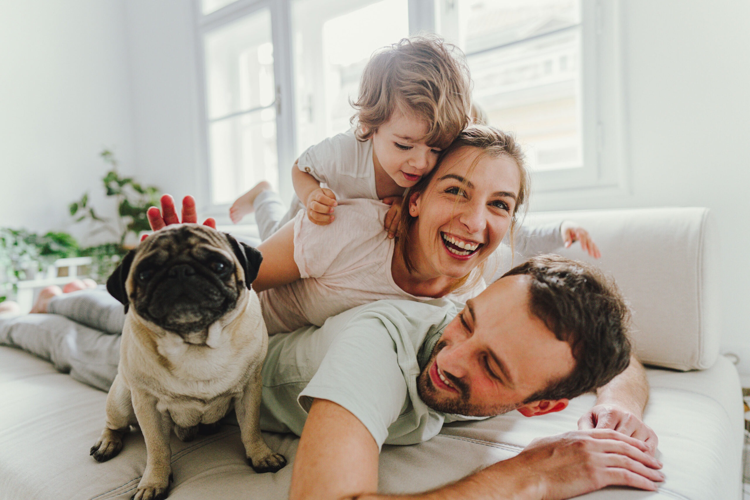 Expert Property Conveyancing Services - Fins House Australia