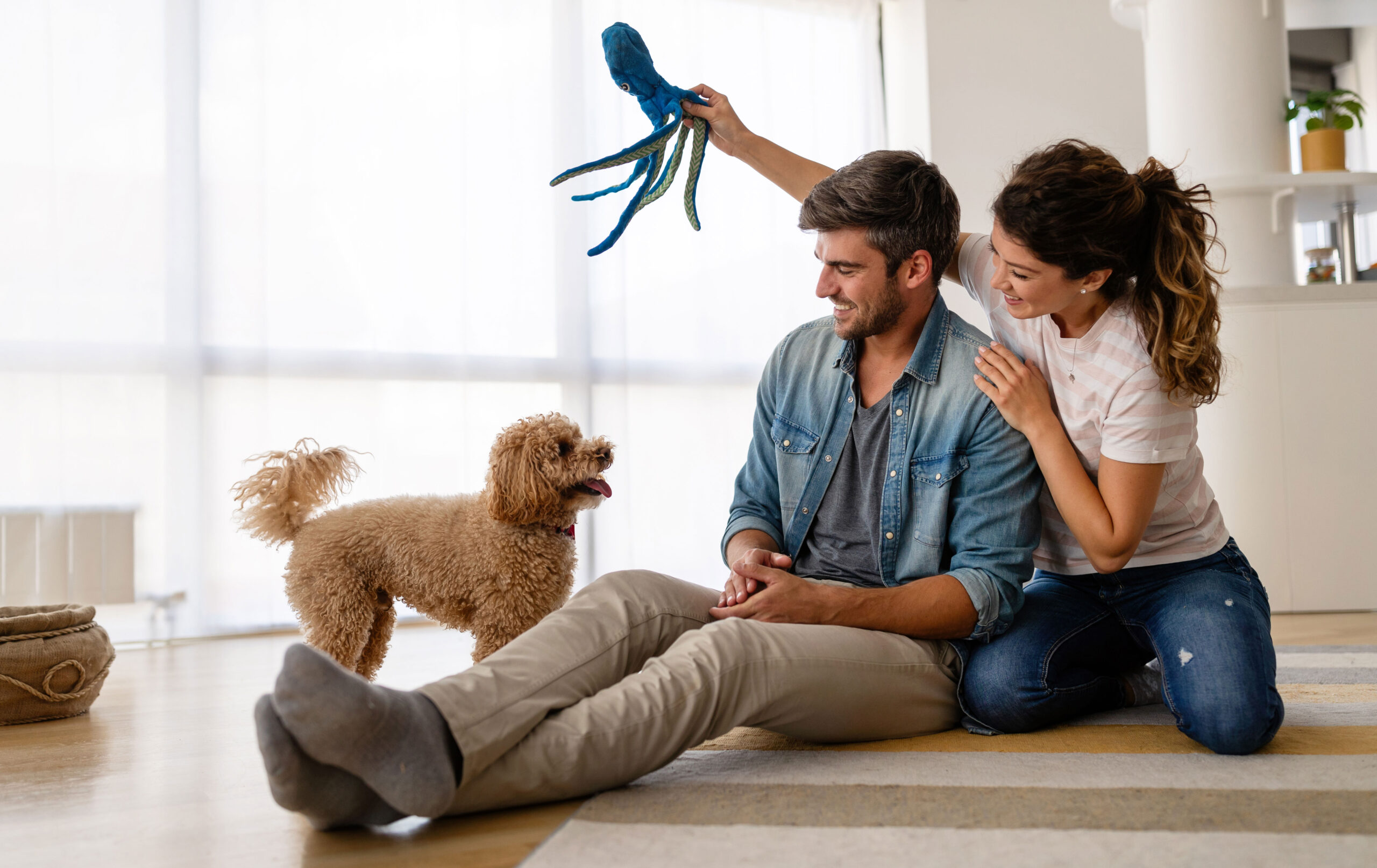 Expert Property Conveyancing Services - Fins House Australia