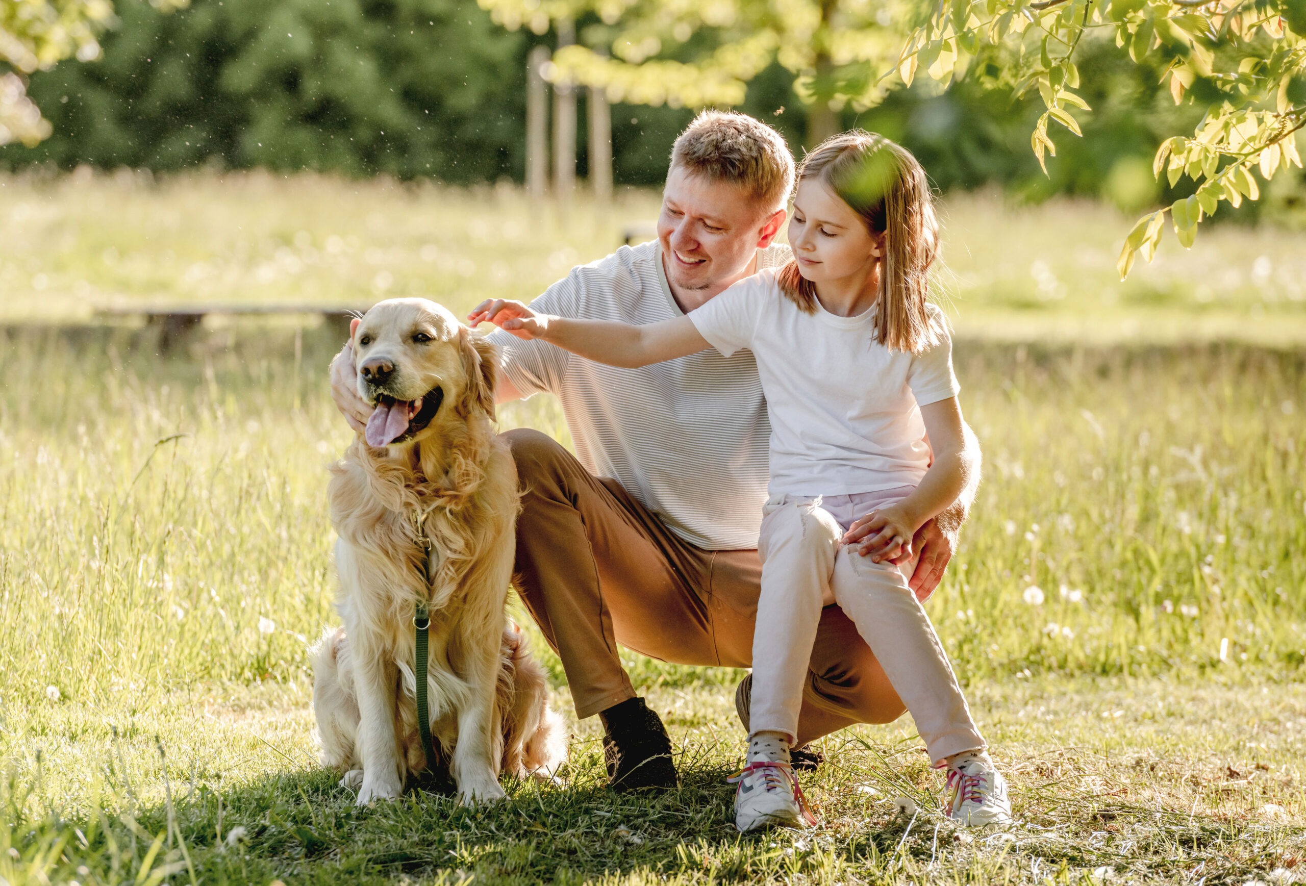 Expert Property Conveyancing Services - Fins House Australia